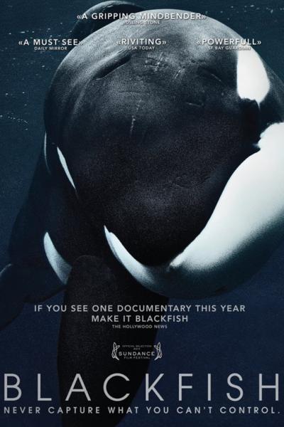 Blackfish | Cinema ZED